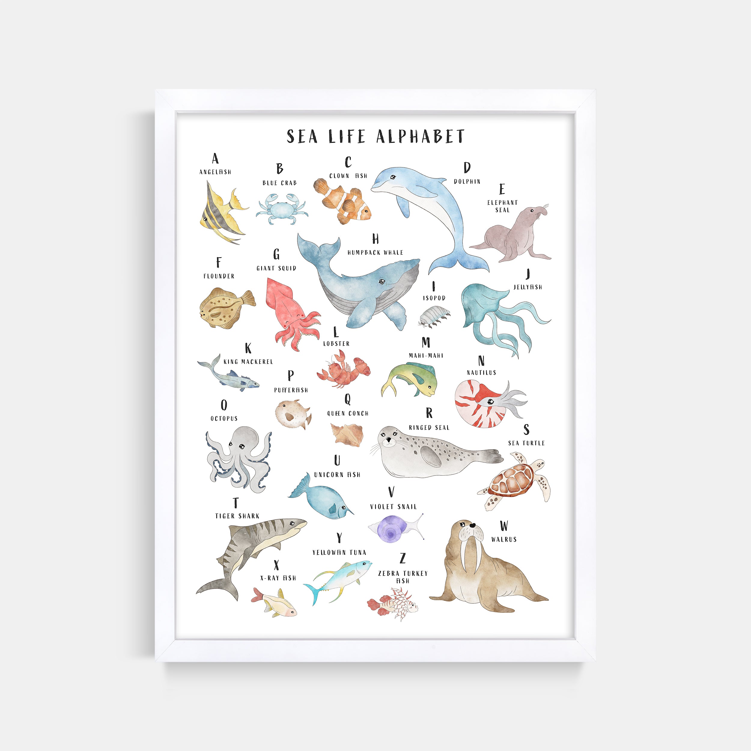 Sea Animal Alphabet Print – Prospect Print Co.